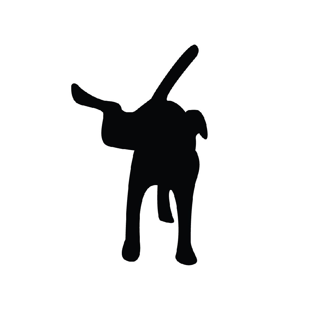 Marked Corner reviews - October 2025 - Review Gorilla